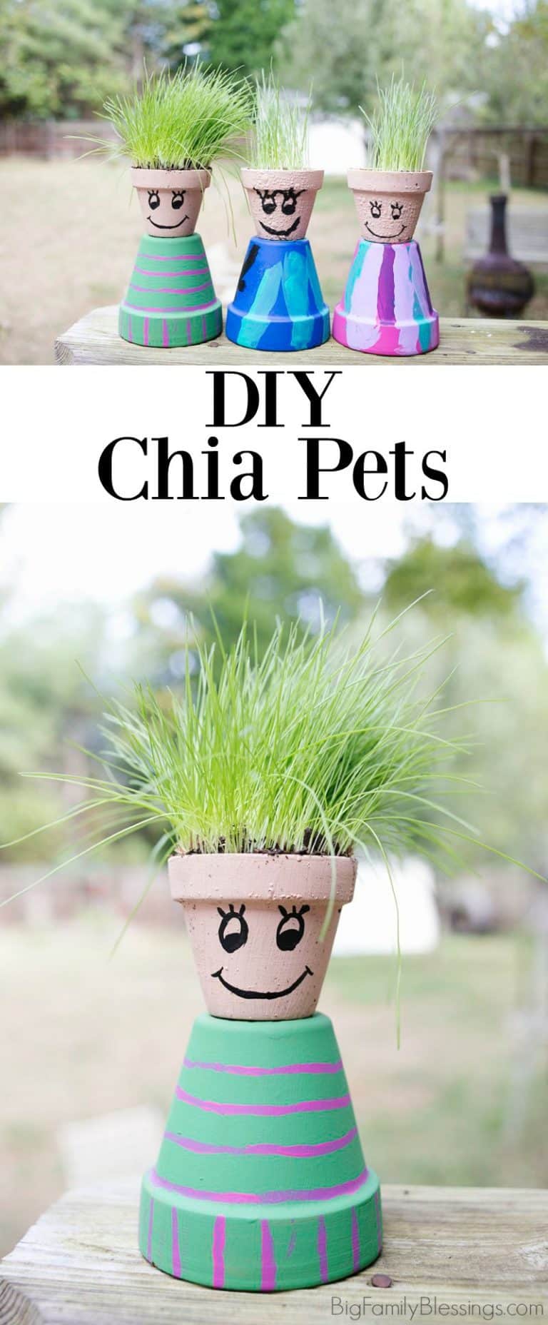 DIY Chia Pets Big Family Blessings diy-chia-pets-big-family-blessings