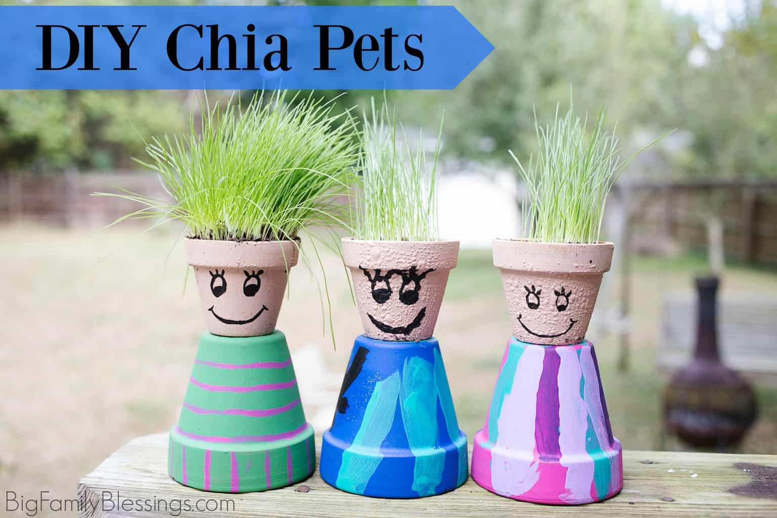 DIY Chia Pets Big Family Blessings