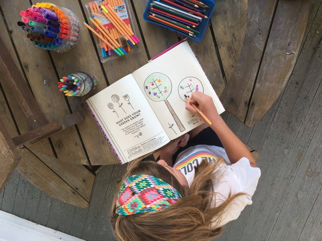 Doodle Lit - Doodle through Classic Literature - Big Family Blessings