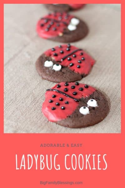 Easy & Adorable Ladybug Cookies - Big Family Blessings