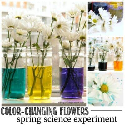Spring Science Experiments for Kids - Big Family Blessings