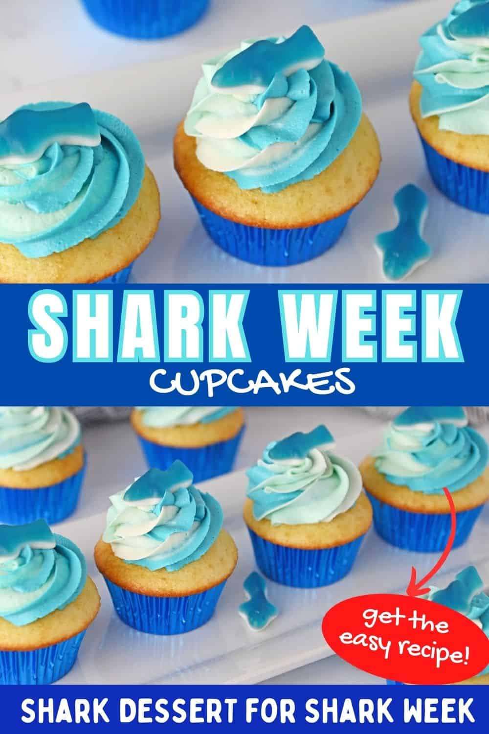 Shark Cupcakes - Shark Week Dessert Idea - Big Family Blessings