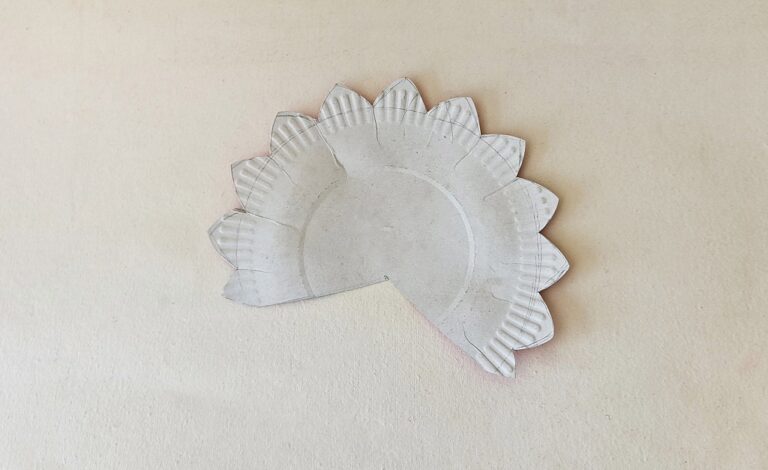 Paper Plate Peacock Craft - Big Family Blessings