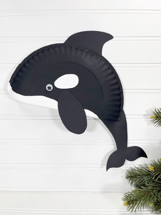 Paper Plate Orca Craft for Kids - Big Family Blessings