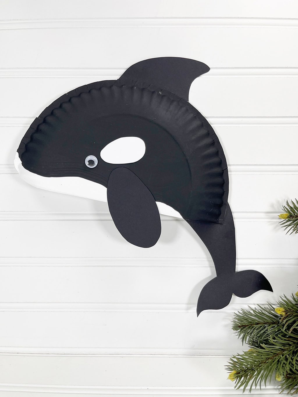 Paper Plate Orca Craft for Kids - Big Family Blessings