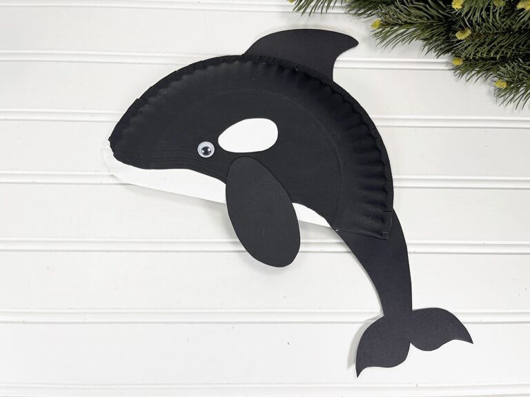 Paper Plate Orca Craft for Kids - Big Family Blessings