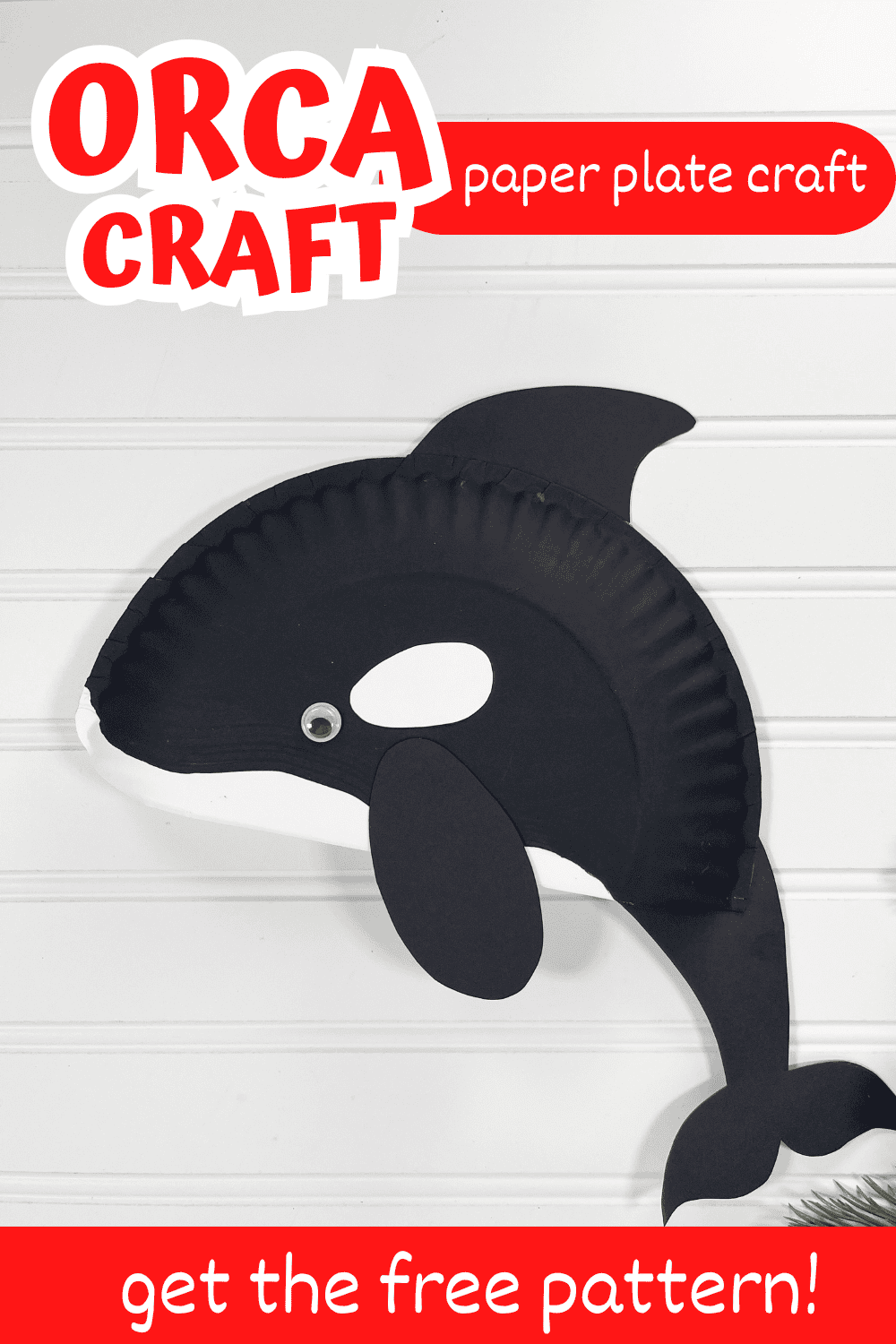Paper Plate Orca Craft for Kids - Big Family Blessings